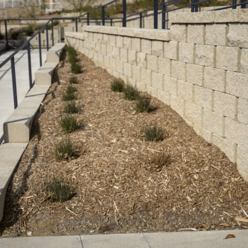 Residential Upgrade: 4 Ways To Enhance Your Backyard with Small Repairs ...